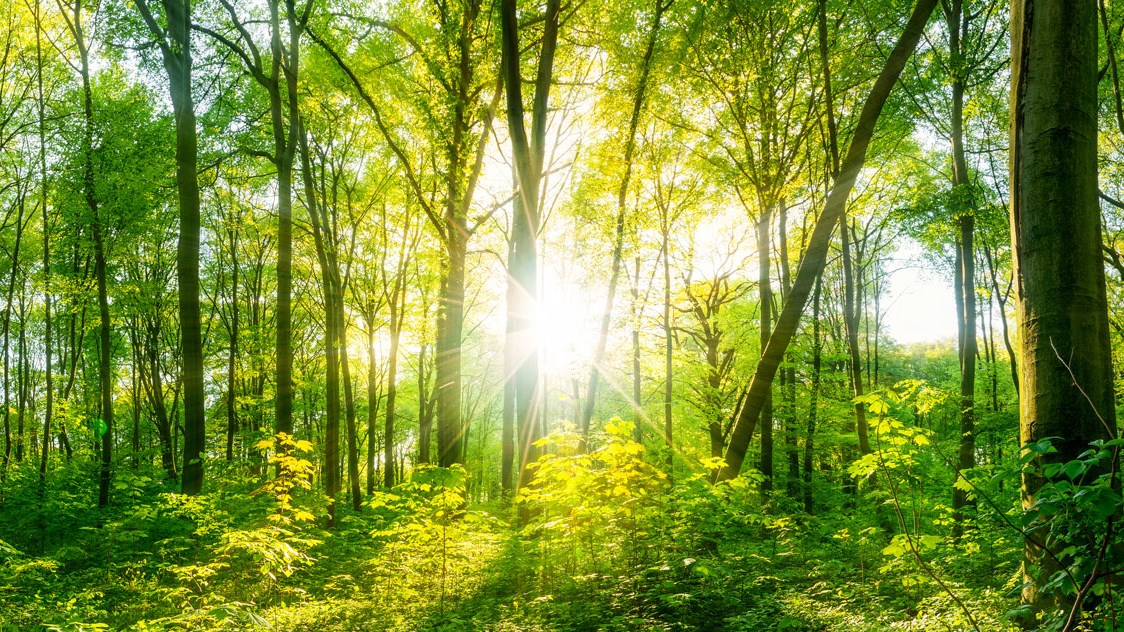 A Spark of Hope - Health Services of North Texas